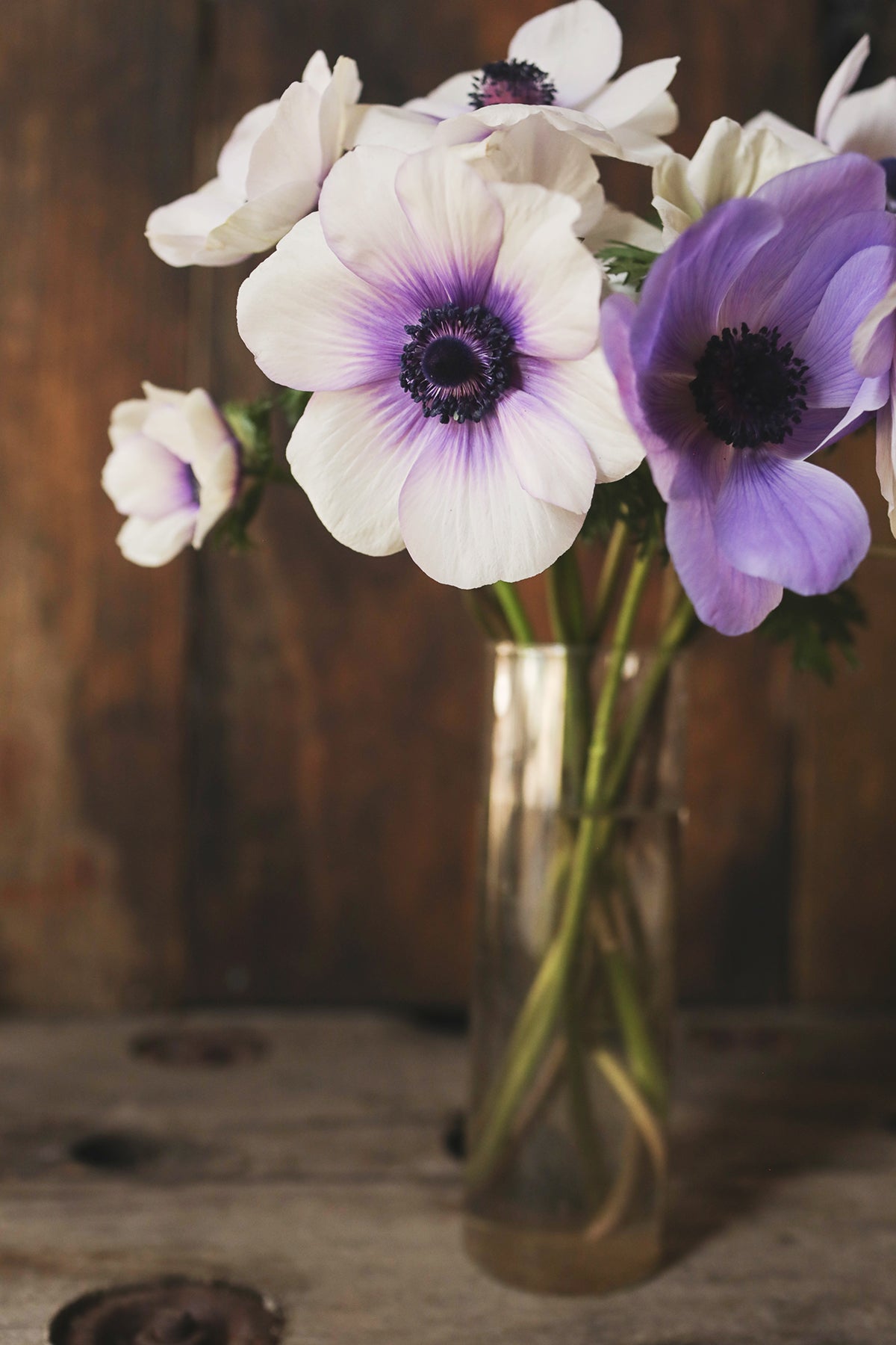 Seeds, Anemones & Ranunculus - Whistling Prairie Flowers