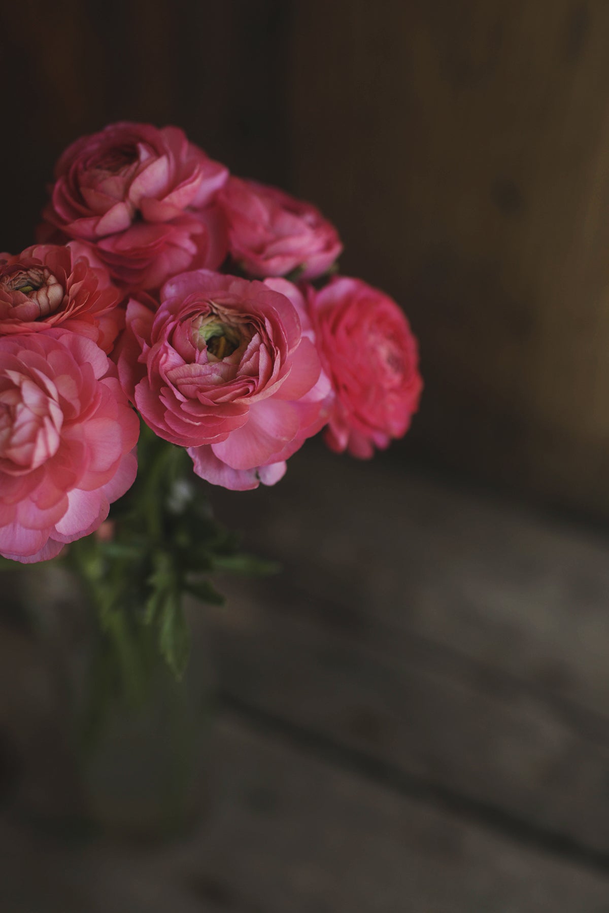 Ranunculus Rose - Whistling Prairie Flowers